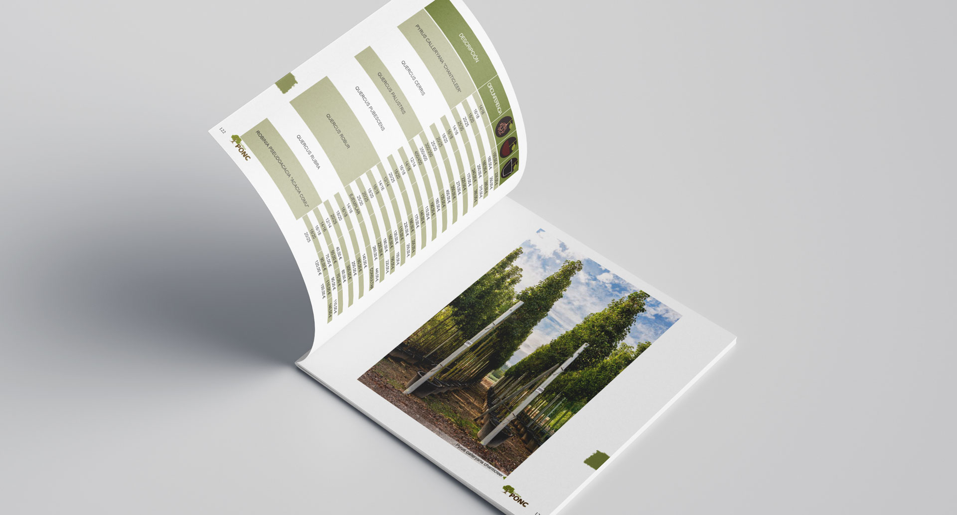 Catálogo | Cultius Ponç