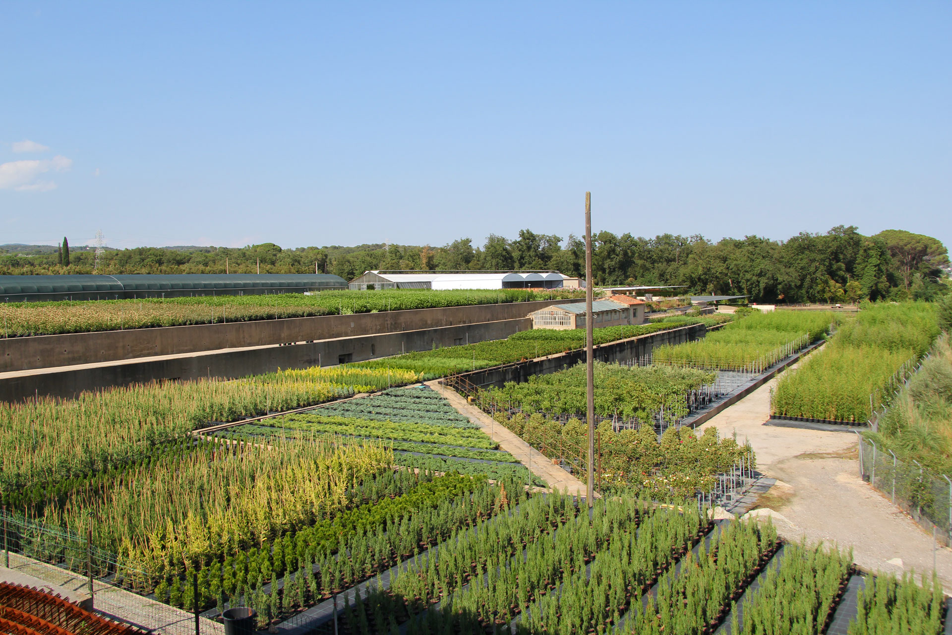 Company | Cultius Ponç