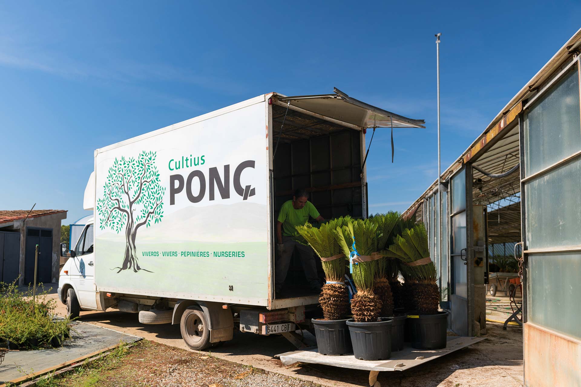 Logística | Cultius Ponç